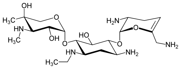 Image: Netilmicin structure