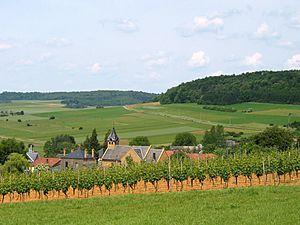 Torgny (village) Facts for Kids