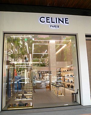 Celine (brand) Facts for Kids