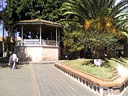 Coeneo de la Libertad Facts for Kids