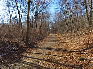 Hop River State Park Trail Facts for Kids