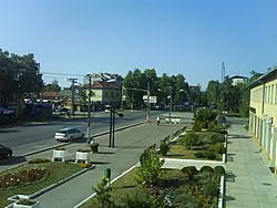 Temerin Facts for Kids