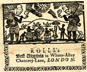 Tobacco in the American colonies Facts for Kids