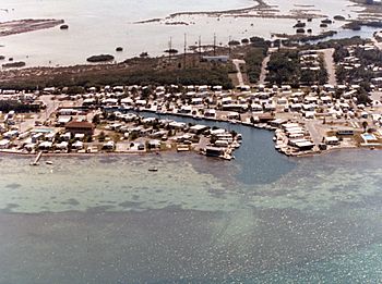 Geiger Key Facts for Kids