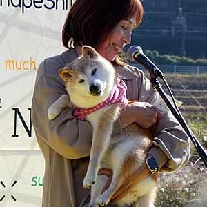 Doge (meme) Facts for Kids