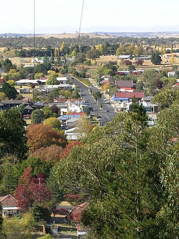 Uralla, New South Wales Facts for Kids