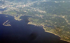 Cockenoe Facts for Kids