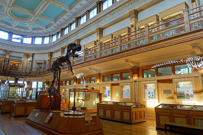 Image: Dawson Gallery - Redpath Museum - McGill University - Montreal ...