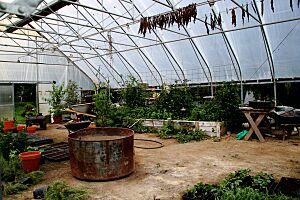 Pizza farm Facts for Kids