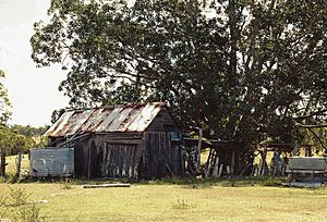 Allan Slab Hut Facts for Kids