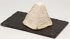 Pouligny-Saint-Pierre cheese Facts for Kids
