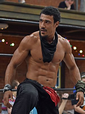AR Fox Facts for Kids
