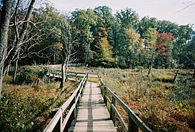 Mason Neck State Park Facts for Kids