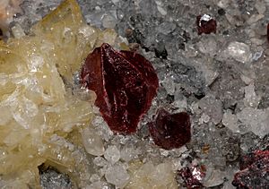 Chinese alchemy Facts for Kids