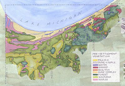 Habitats of the Indiana Dunes Facts for Kids