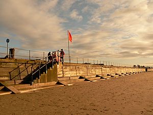 Crosby Beach Facts for Kids