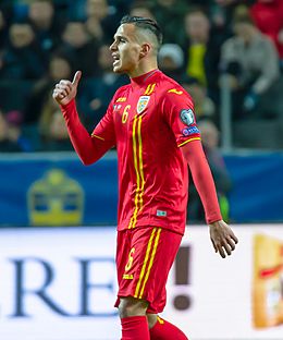 Cristian Manea Facts for Kids