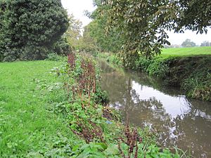Pymmes Brook Facts for Kids