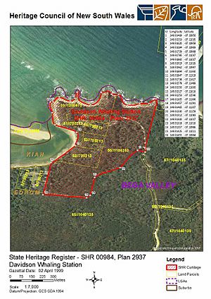 Davidson Whaling Station Facts for Kids