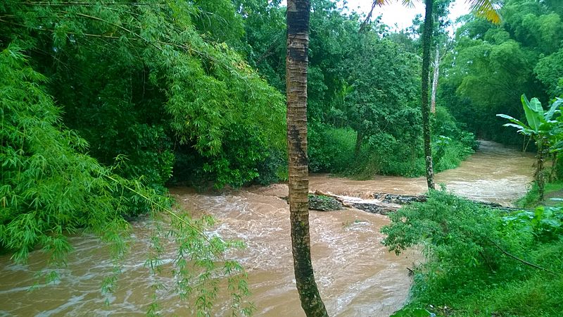 Image: Río Cibuco, Corozal, Puerto Rico