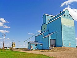 Arrowwood, Alberta Facts for Kids