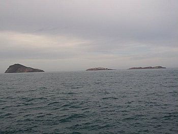 Chafarinas Islands Facts for Kids