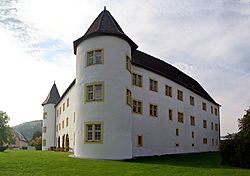 Immendingen Facts for Kids