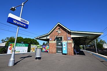 Waitara, New South Wales Facts for Kids