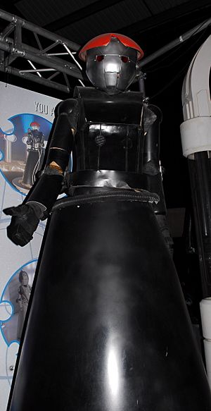 Anne Robinson Facts for Kids