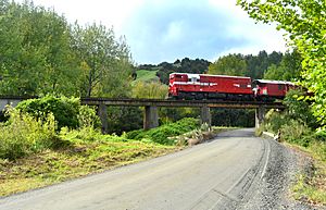 Ahuroa Facts for Kids