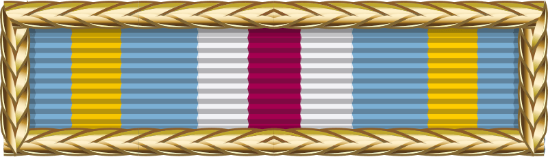 Image: Joint Meritorious Unit Award-3d
