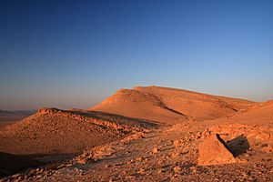 Syrian Desert Facts for Kids
