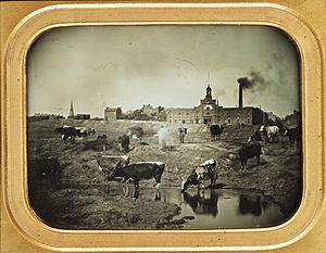 Henry Taylor Blow Facts for Kids