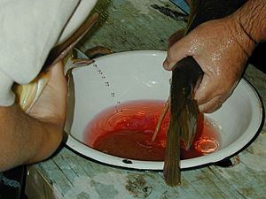 Dexter National Fish Hatchery & Technology Center Facts for Kids