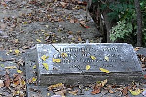 Sherman's Dam Facts for Kids