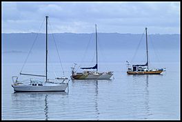 Deception Bay (Queensland) Facts for Kids