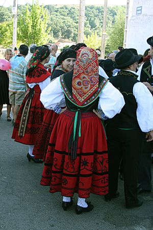 Aliste (comarca) Facts for Kids