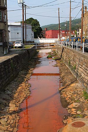 Coal Run (Shamokin Creek tributary) Facts for Kids