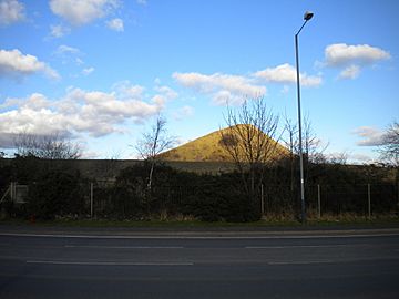 Mount Judd (Nuneaton) Facts for Kids