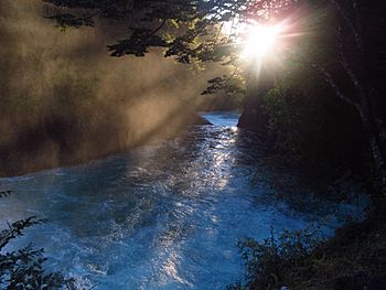 Neltume River Facts for Kids