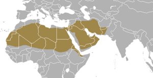 Rüppell's fox Facts for Kids