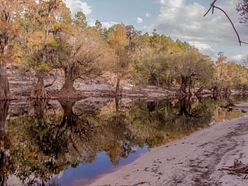 Suwannee River Facts for Kids