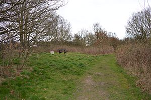 Fisher's Field Facts for Kids