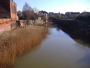 Gaywood River Facts for Kids