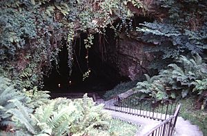 Mitchelstown Cave Facts for Kids