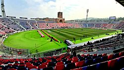 Stadio Renato Dall'Ara Facts for Kids