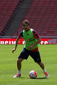 Mathieu Flamini Facts for Kids