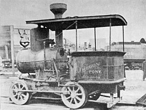 Oregon Pony Facts for Kids