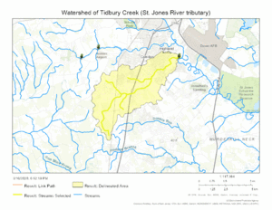 Tidbury Creek Facts for Kids