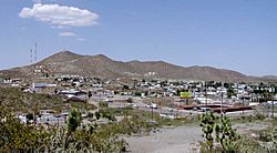 Searchlight, Nevada Facts for Kids